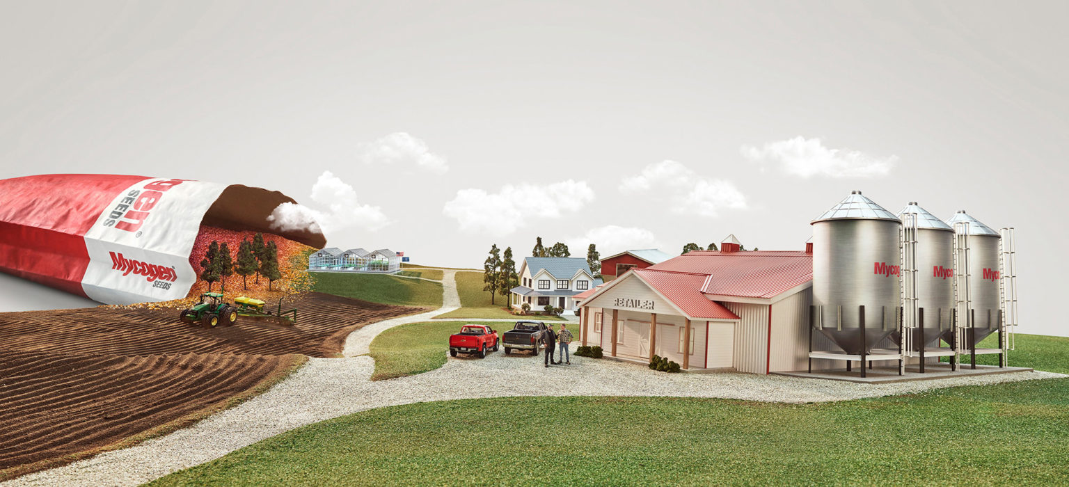 The Operators Creative Ltd | Mycogen