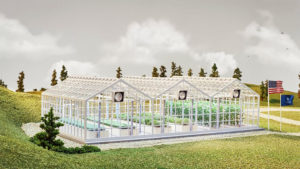 Mycogen - The Operators Creative Ltd